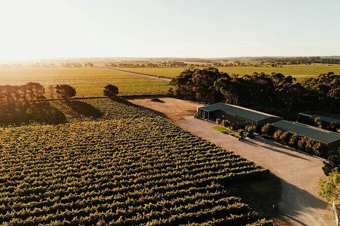 McLaren Vale South Hop-On Hop-Off Winery Tour from Adelaide - Key Points