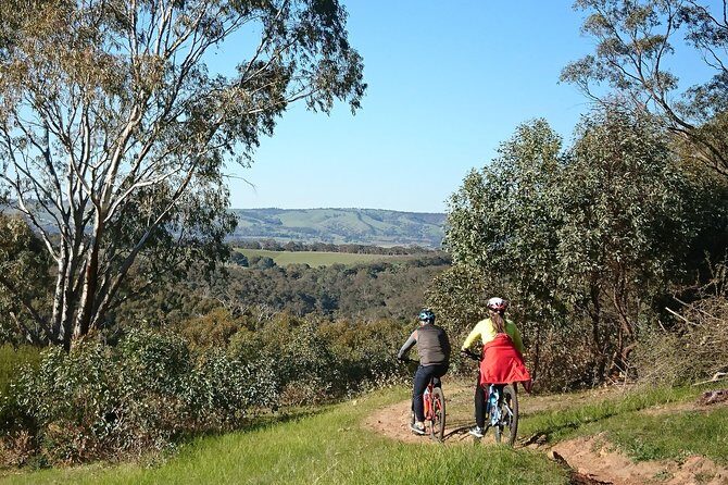 McLaren Vale Wine Tour by Bike - The Authentic and Personal Experience
