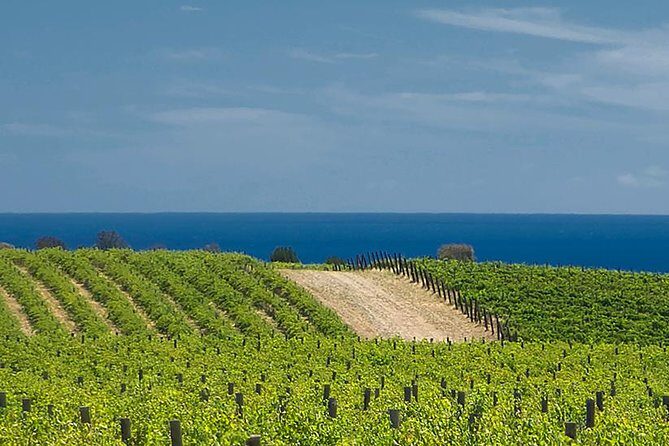 McLaren Vale Winery Small Group Tour with Wine Tasting and Lunch - FAQs