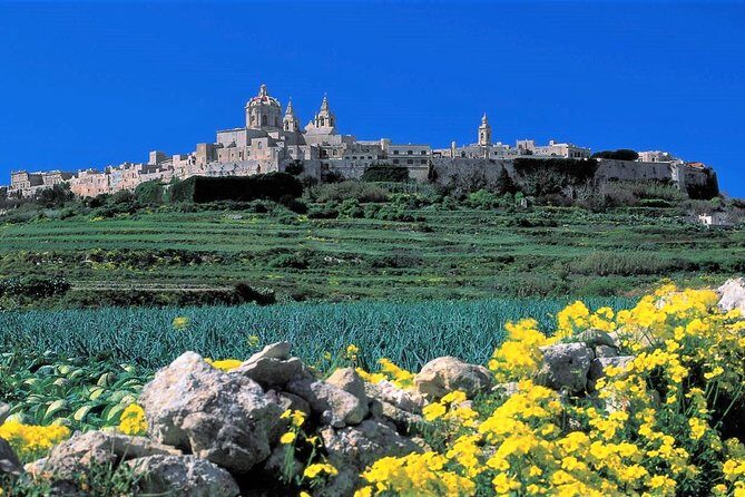 Mdina, Rabat, Dingli cliffs, San Anton gardens, Ta' Qali & Mosta guided tour - Exploring Malta’s Best in a Day: A Full-Guided Tour Review