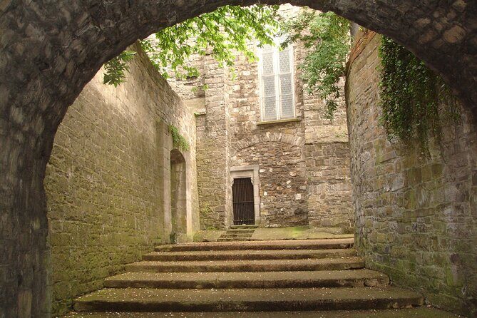 Medieval Dublin Walking Private Guided Tour - Exploring Dublin’s Medieval Roots: A Closer Look