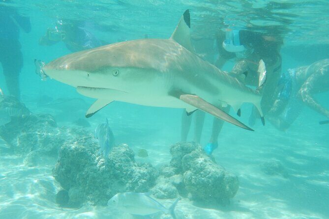 Medium Combo in Moorea of 2 hours of Jetski and 2h30 of Quad - Practical Details and Logistics