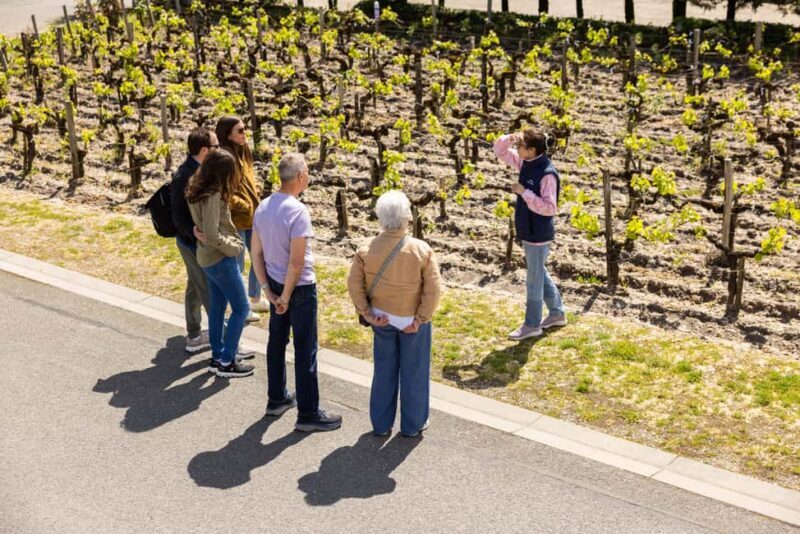 Medoc Afternoon Wine Tour, 2 Wineries, tastings & delicacies - Starting Point and Transportation