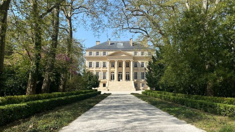 Medoc Afternoon Wine Tour, 2 Wineries, tastings & delicacies - Return Journey and Final Thoughts