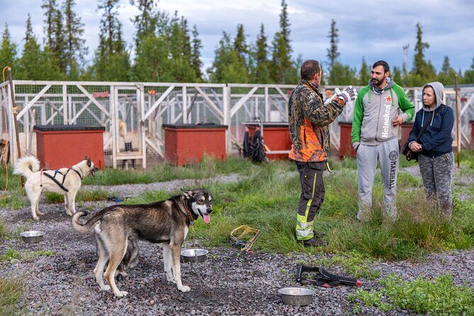 Meet 70 Huskies and Enjoy a short ATV Tour with the Huskies - A Detailed Look at the Arctic Husky Adventure