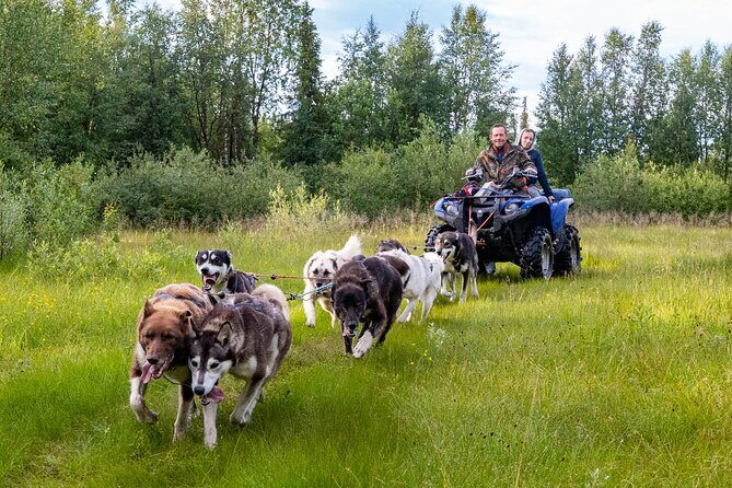 Meet 70 Huskies and Enjoy a short ATV Tour with the Huskies - FAQ