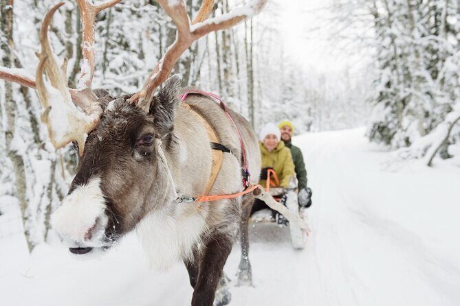 Meet Santa Claus & Santa's Reindeer Ride & Greet Huskies - FAQ