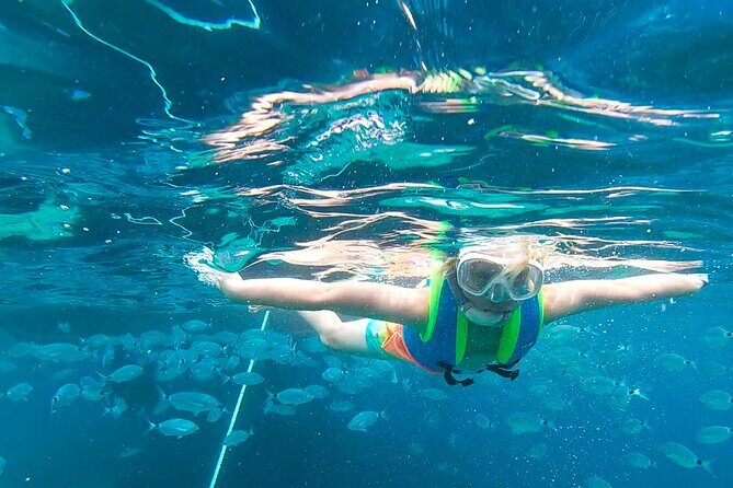 Meet the Sea: Family Boat trip to Conillera island - Key Points