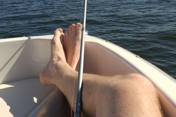 Meet The Seals Boat Tour - Travel by boat to a Secret Seal Cove - Who Will Love This Tour?