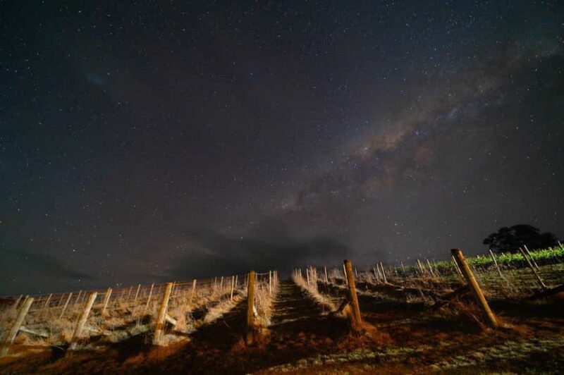 Megalong Valley: Wine Tasting and Stargazing Experience - Discovering Dryridge Estate: A Vineyard in the Heart of Megalong Valley