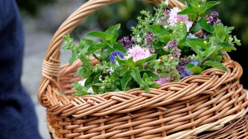 Meißen: Guided Walking Tour 'Romantic Evening Stroll' - FAQ