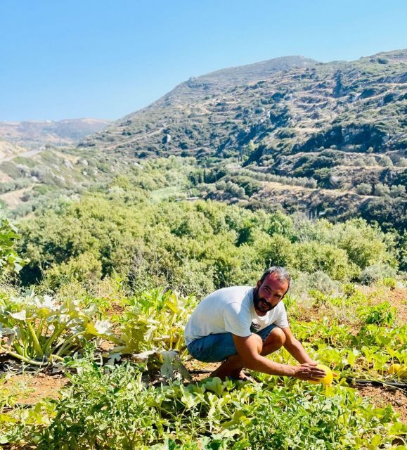 Melanes: Naxos Perivoli Farm & Cooking Class with Wood Fire - The Experience in Context