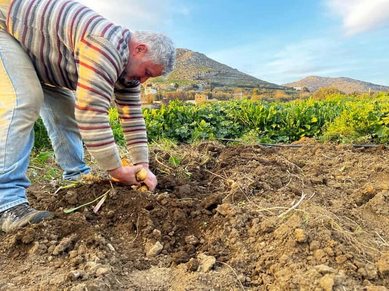 Melanes Tour: Village Highlights & Garden-to-Table Meal - The Value and Authenticity of the Tour