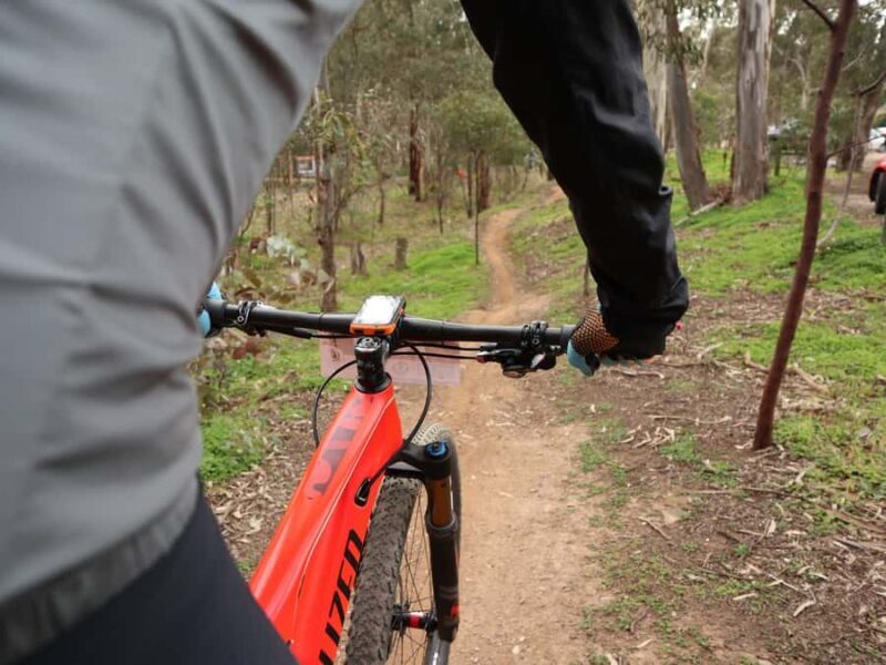 Melbourne: 1-Day Mountain Biking Adventure with Lunch - Key Points