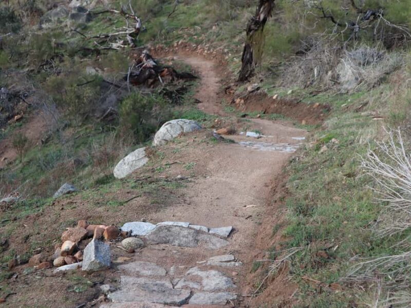 Melbourne: 1-Day Mountain Biking Adventure with Lunch - Who Will Love This Tour?