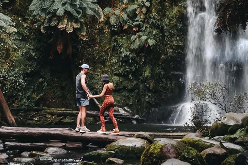 Melbourne: 12 Apostles, Otways & Great Ocean Road Day Tour - Who Is This Tour Best For?