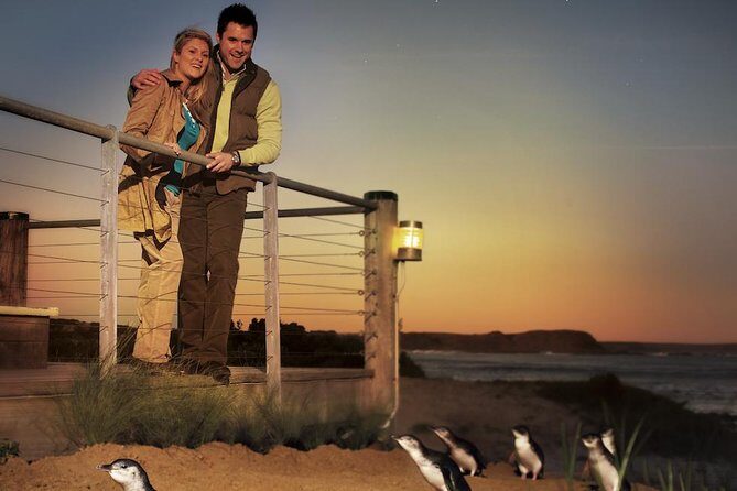 Melbourne 3, 5, or 7 Ticket Flexi Pass - Final Thoughts