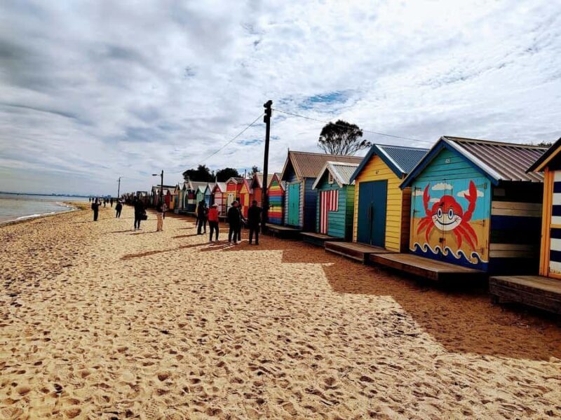 Melbourne 3-Hour Small Group Tour with Beach Boxes - An In-Depth Look at the Melbourne 3-Hour Tour