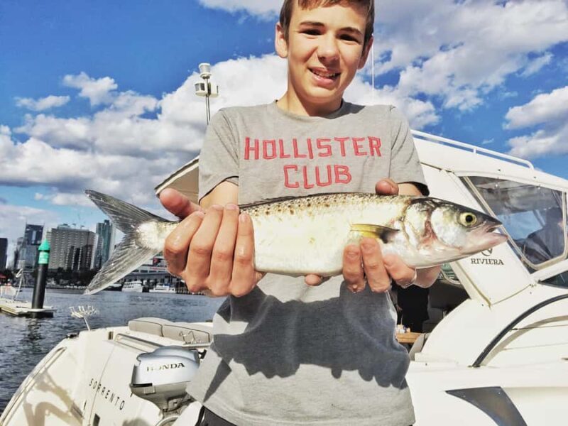 Melbourne: A Private Day Tour on a Sports Yacht on the Bay - Key Points