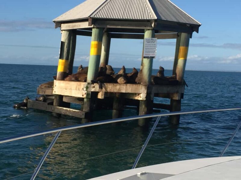 Melbourne: A Private Day Tour on a Sports Yacht on the Bay - Exploring the Itinerary and Experience