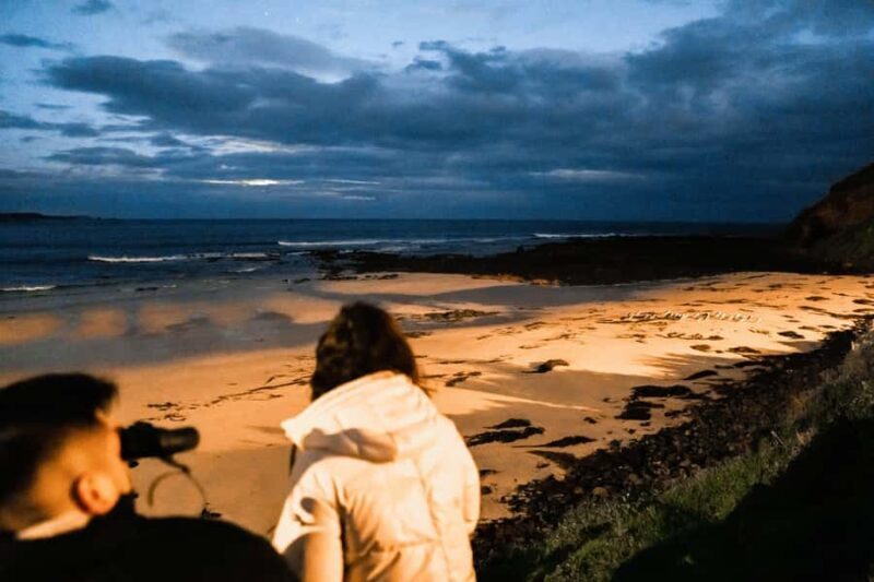 Melbourne: Bunurong Coast & Penguin Parade Day Trip - Price and Value Analysis