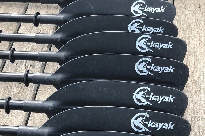 Melbourne City Sights Kayak Tour - FAQ