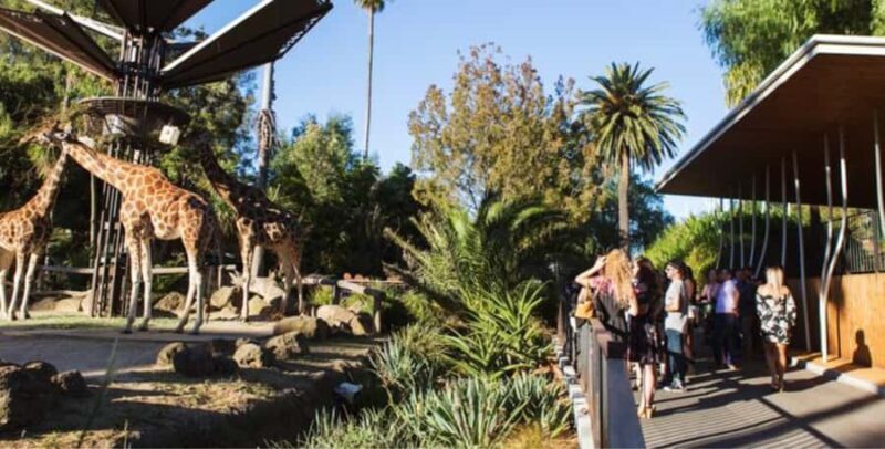 Melbourne City Surrounding Sightseeing Tour - Practical Considerations