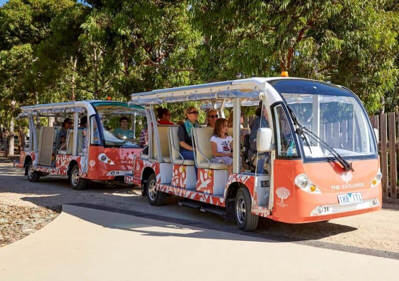 Melbourne: Cranbourne Gardens Electric Explorer Tour - The Sum Up