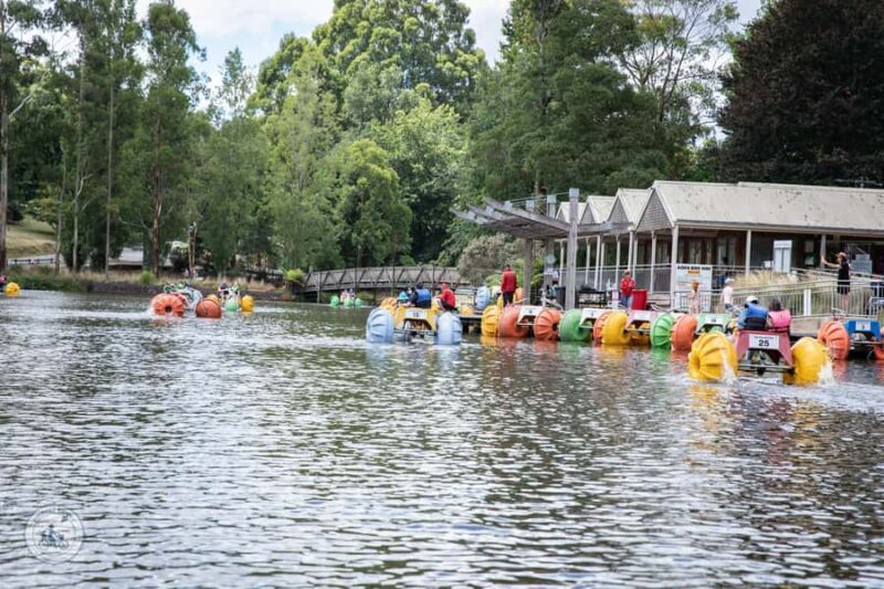 Melbourne: Dandenong Ranges & Yarra Valley Day Trip - FAQ