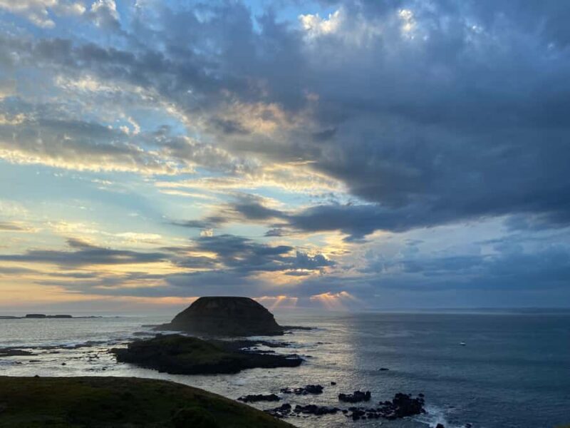 Melbourne Essentials: City, Penguins and Great Ocean Road - Key Points