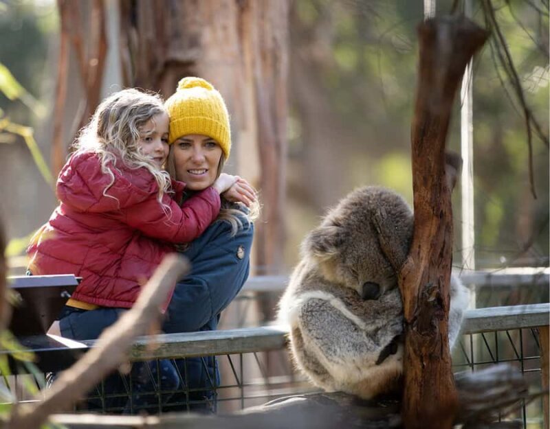 Melbourne: Flexi Pass - Pick 3, 5 or 7 Experiences - Who Should Consider the Melbourne Flexi Pass?