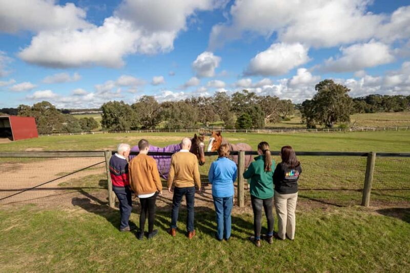 Melbourne: Full-Day Horses, Wine, and Beer Tour - An In-Depth Look at the Itinerary