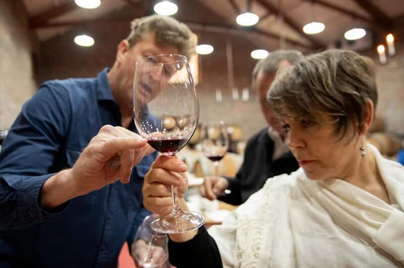 Melbourne: Full-Day Winemaker-Led Wine Tasting Tour - Key Points