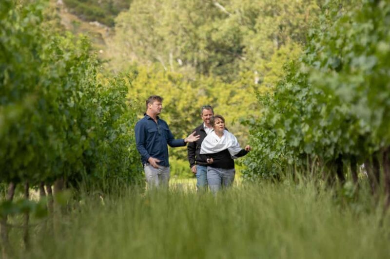 Melbourne: Full-Day Winemaker-Led Wine Tasting Tour - The Day in Detail: What to Expect