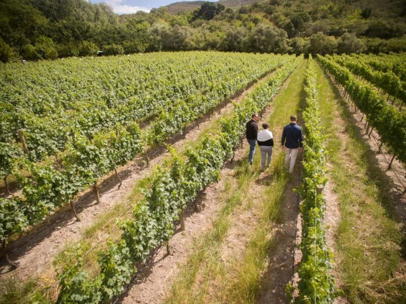 Melbourne: Full-Day Winemaker-Led Wine Tasting Tour - FAQ