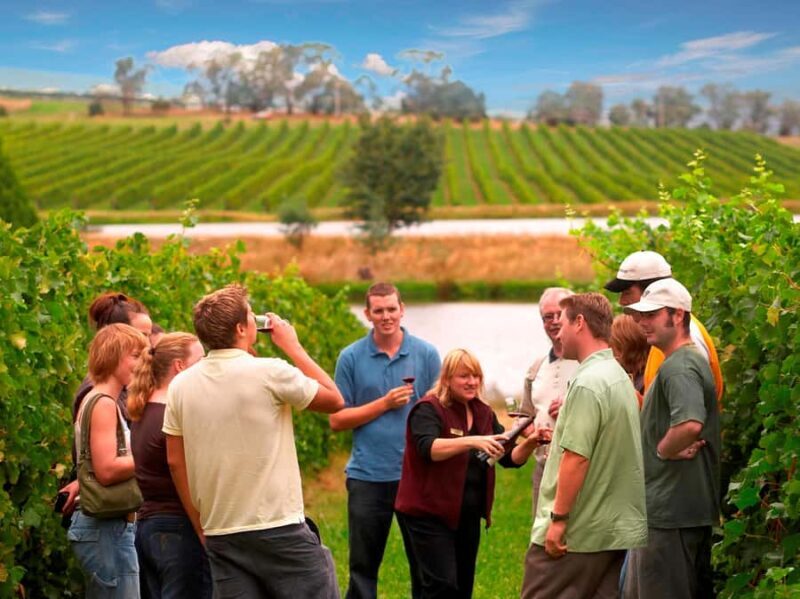 Melbourne: Full-Day Yarra Valley Wine Experience with Lunch - Authentic Experiences and What Makes This Tour Stand Out