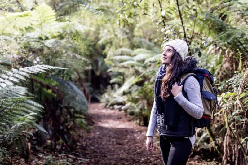 Melbourne: Great Ocean Road, 12 Apostles & Rainforest Tour - Rainforest Walk in Great Otway National Park