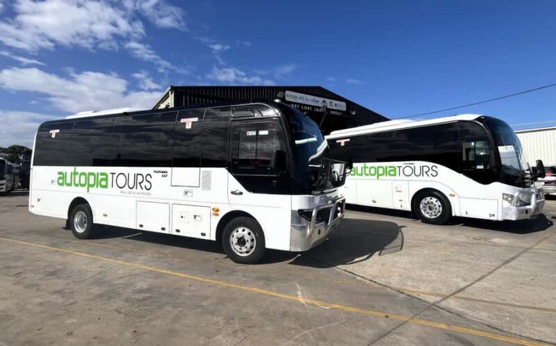 Melbourne: Great Ocean Road, 12 Apostles & Rainforest Tour - The Drive Back and Additional Stops