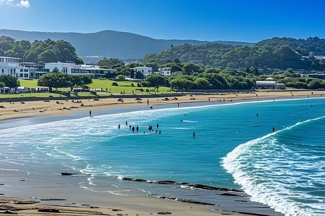 Melbourne: Great Ocean Road Luxury Coach Reverse Tour - Who Will Love This Tour?