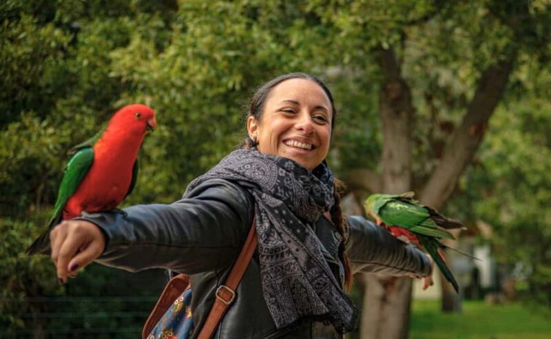 Melbourne: Great Ocean Road, Penguin Parade & Free City Tour - Final Thoughts