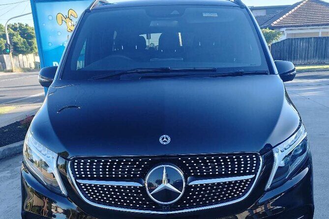 Melbourne Great Ocean Road Private One Day Tour - Authentic Traveler Insights & Extra Tips