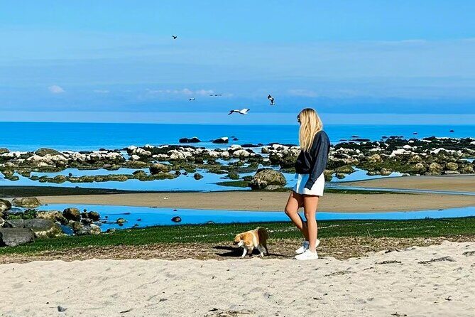 Melbourne Great Ocean Road Reverse Tour + London Bridge wildlife - The Experience: What’s Included and What to Expect