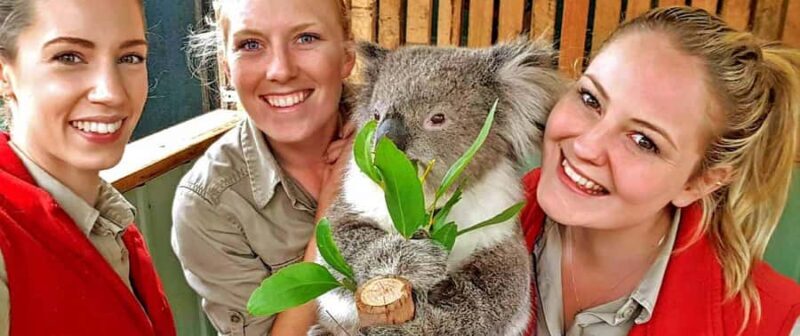 Melbourne Highlights & Aussie Wildlife Express Tour - Practical Aspects and Logistics