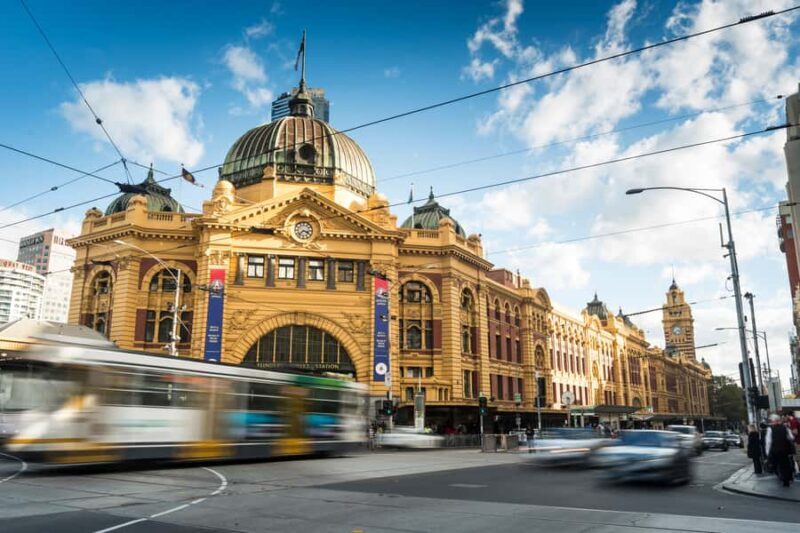Melbourne Highlights & Aussie Wildlife Express Tour - Who Will Love This Tour?