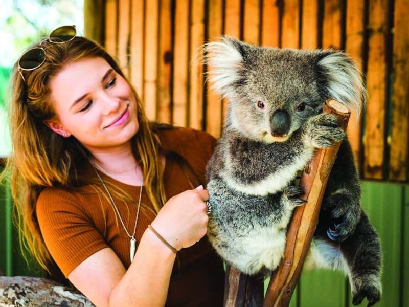 Melbourne Highlights & Aussie Wildlife Express Tour - FAQs