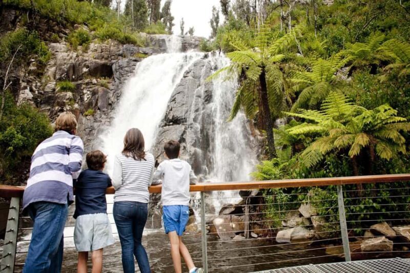 Melbourne: Lake Mountain Snow Day and Waterfalls & Chocolate - What You Can Expect from This Tour