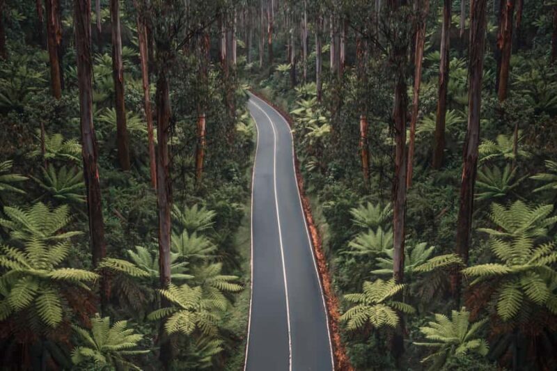 Melbourne: Lake Mountain Snow Day and Waterfalls & Chocolate - FAQ