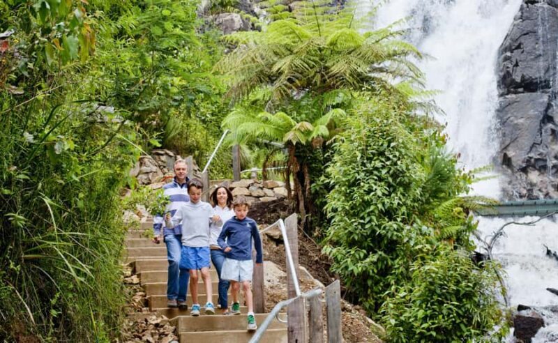 Melbourne: Lake Mountain Snow, Waterfall & Chocolaterie Tour - Practical Tips