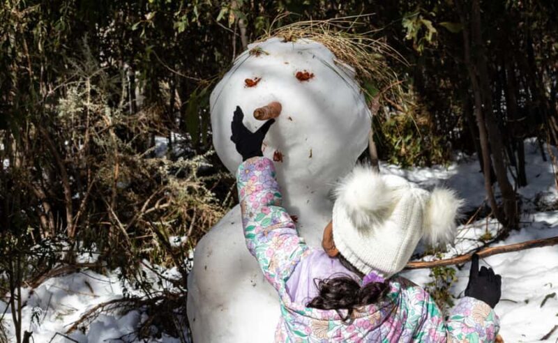 Melbourne: Lake Mountain Snow, Waterfall & Chocolaterie Tour - The Sum Up