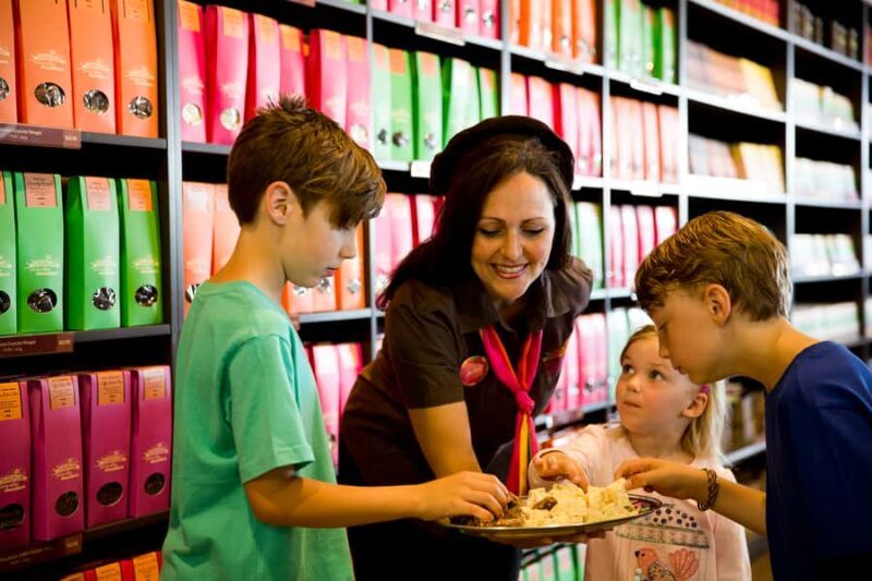 Melbourne: Lake Mountain Snow & Waterfalls Guided Tour - What We Think of the Melbourne: Lake Mountain Snow & Waterfalls Guided Tour